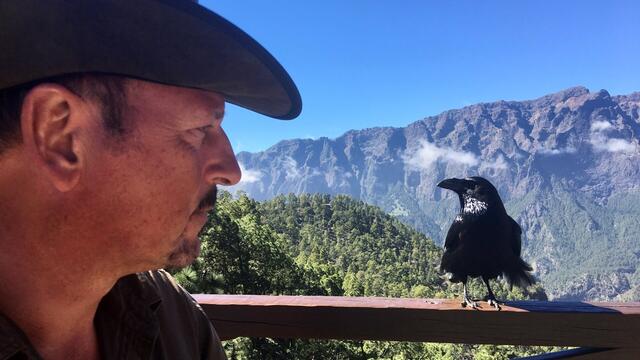 Reiserouten Details - 7 Nächte - Dubai mit Sir Bani Yas | TUI Cruises